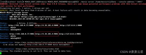 centos7安装minio配置开机自动启动脚本（实战教程） minio 启动 csdn博客