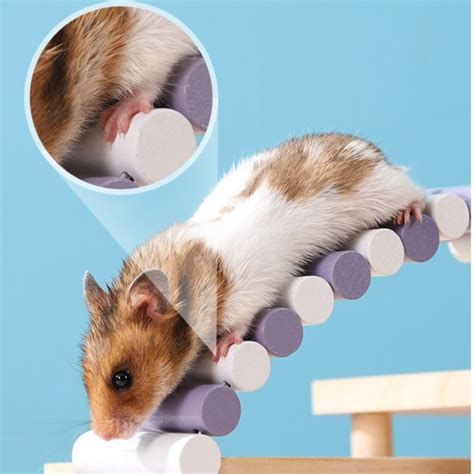 Mua Elsabell Thang Gỗ Uốn Nhiều Màu Trang Trí Chuồng Hamster Cầu Thang Gỗ Uốn Cho Hamster