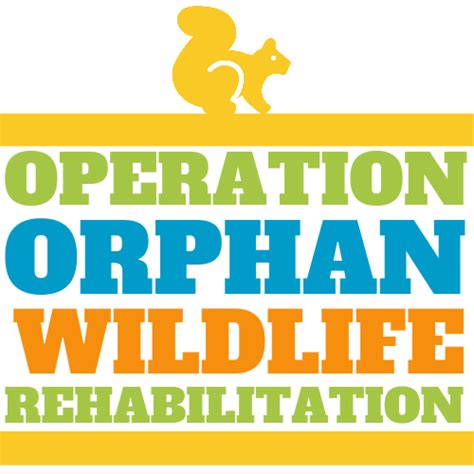 Rehabilitating Orphan And Injured Wildlife Since 1962 A Non Profit
