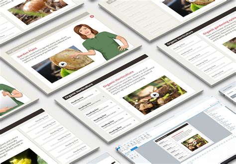 Free Drag And Drop Template For Articulate Storyline