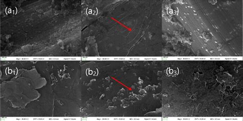 C1s O1s F1s And P2p Xps Spectra Of The Graphite Anode After 5 Cycles