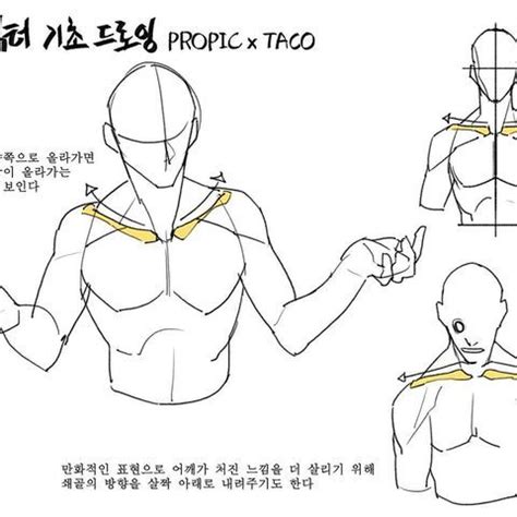 타코작가 on Instagram 드로잉 강좌 인체 그리기 튜토리얼