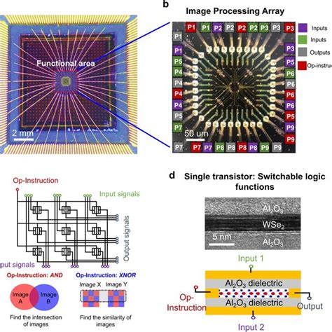 Image Processing Array With Switchable Functions A Macroscopic Image Of Download Scientific