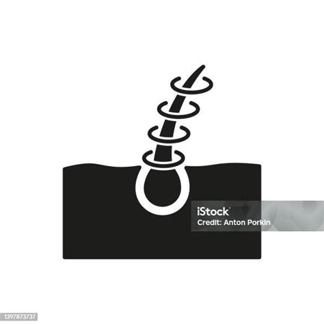 헤어 수리 컨셉 실루엣 아이콘 머리 보호 영양 각질 치료와 성장 블랙 픽토그램 건강하고 성장하는 여포 아이콘 격리된 벡터 일러스트 레이 션 각질세포에 대한 스톡 벡터 아트