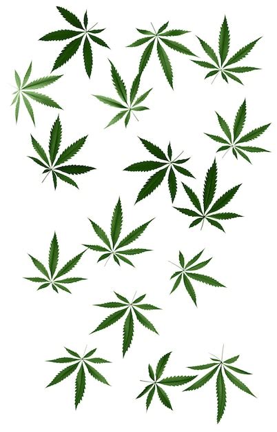 Free Psd Weed Leaves Pattern