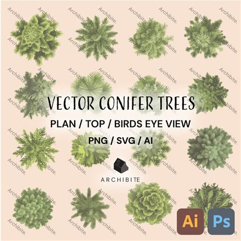 Dwg Conifer Trees Plan