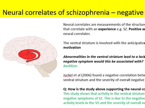 Aqa Psychology Biological Explanations Of Schizophrenia Teaching