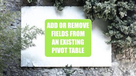 Add Or Remove Fields From An Existing Pivot Table Excel Tips MrExcel Publishing