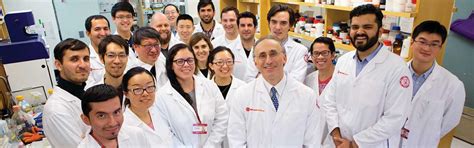 Rafii Lab Weill Cornell Medicine