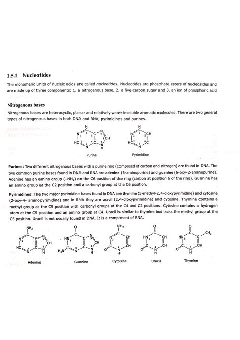 Nucleotides Cell Biology Studocu