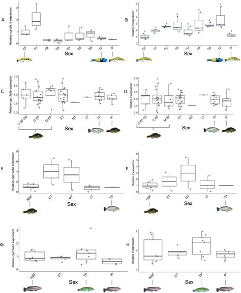 Conservation And Diversity In Expression Of Candidate Genes Regulating Socially Induced Female