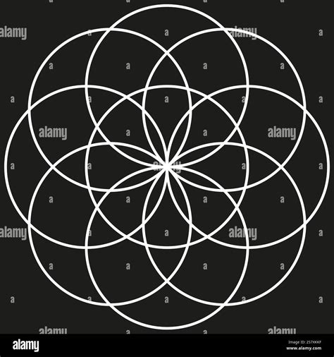 Geometric Flower Pattern Black Background Contrast Intersecting Circular Shapes Bold Vector