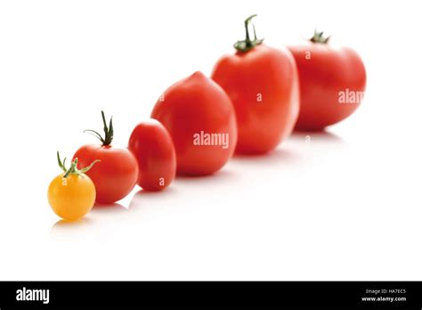Different Types Of Tomato Stock Photo Alamy