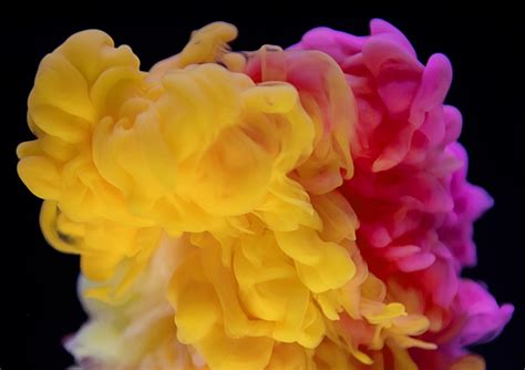 무료 이미지 Abastraction 추상 추출 아크릴 물의 미술 예술적 아티 배경 얼룩 화학 물질 구름 수집 색깔 혼합 화려한 오염 창조적