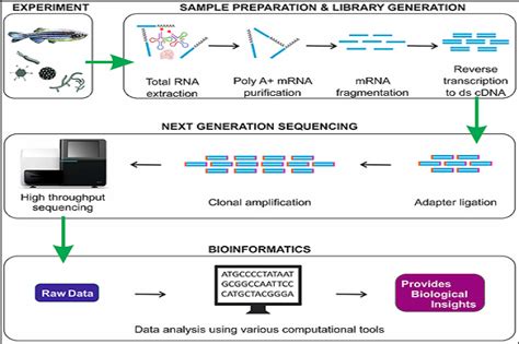 Next Generation Sequencing In Bioinformatics — Teletype