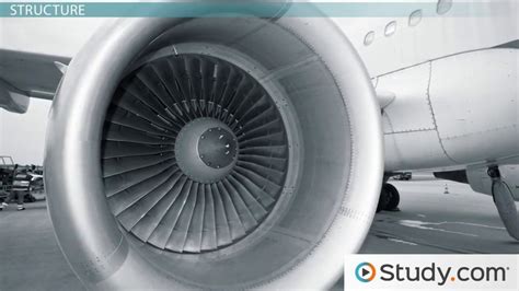 Mitochondria Definition Function Structure Lesson Study Com