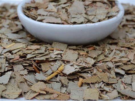 Buy Eucalyptus Tea Online Tea Life Australia Tea Life