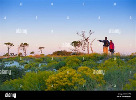 National Seashore Horn Island