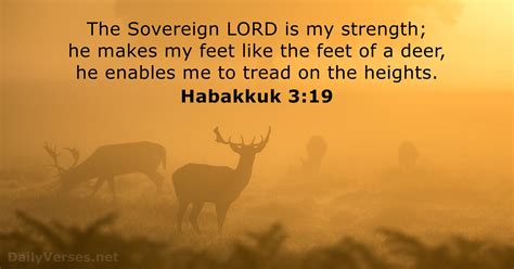 December 6 2025 Bible Verse Of The Day