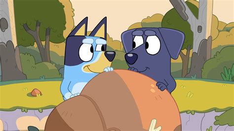 Bluey Season 1 Episode 43 Camping