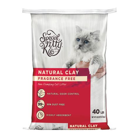 Brandclub Special Kitty Non Clumping Unscented Natural Clay Litter