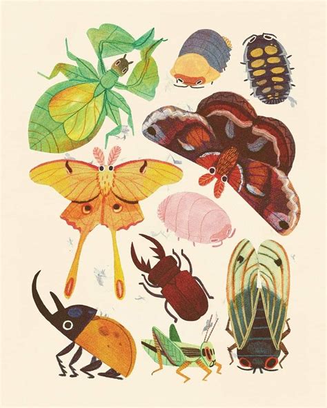 Damn Where Did You Find This Aesthetic In 2025 Bug Art Entomology