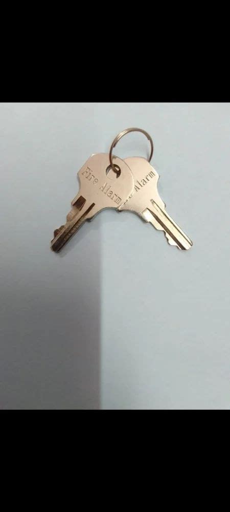 Mcp Reset Key Ei407 At ₹ 100 Piece Bhopura Ghaziabad Id