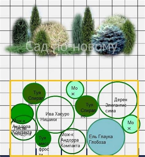 Схемы хвойных композиций выполненные выпускниками курса КАК СДЕЛАТЬ ХВОЙНЫЕ КОМПОЗИЦИИ Flower