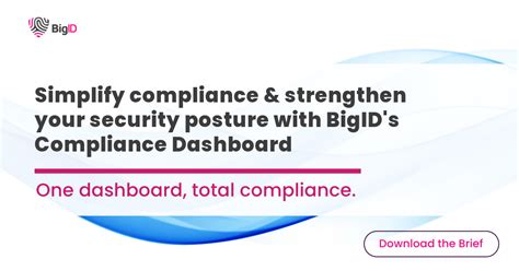 Bigid Express Fast Track Your Data Discovery Risk Reduction And