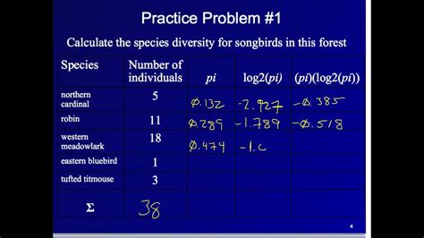 Species Diversity Practice Problems Youtube
