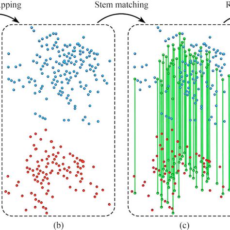 the pipeline of the proposed method a input point clouds b stem
