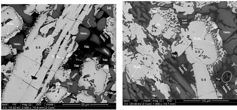 Figure 5 From Microstructures And Isothermal Oxidation Of The Alumina Scale Forming Nb1 45si2