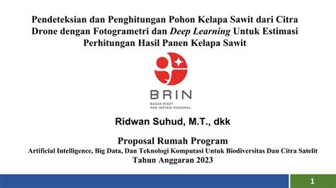 Detection And Counting Of Oil Palm Trees From Drone Imagery Using Photogrammetry And Deep