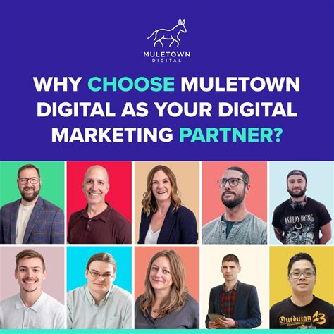 Why Choose Muletown Digital Expert Digital Marketing