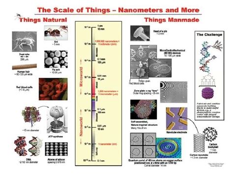 NANO SCIENCE Contents Introduction The Nanometer Scale Nano