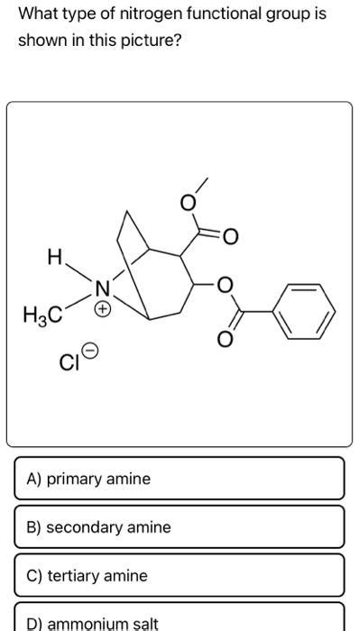 Solved What Type Of Nitrogen Functional Group Is Shown In