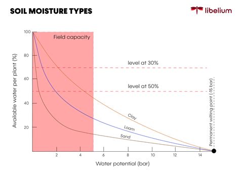 Measuring Soil Moisture Content At Dwight Burke Blog
