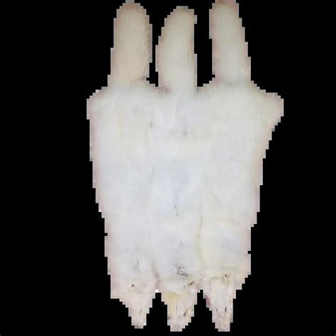 مجموعه عکس لباس های ساخته شده توسط پوست روباه با کیفیت بالا