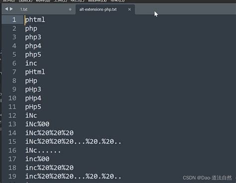 Day47：web攻防 Php应用and文件上传and函数缺陷and条件竞争and二次渲染and黑白名单andjs绕过文件上传黑白名单 Csdn博客