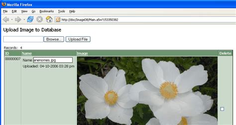 Alpha Anywhere Uploading And Displaying Images