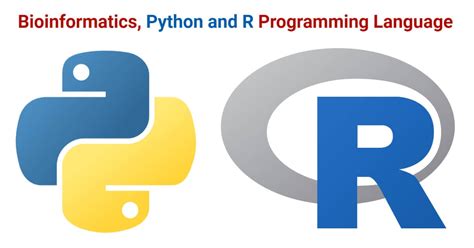 Python And R Programming Language In Bioinformatics