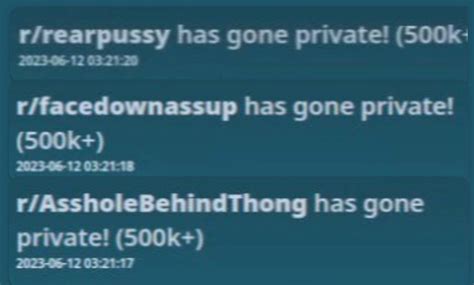Alex Hexagon On Twitter Today Id Like To Congratulate The Brave Souls Of R Rearpussy R