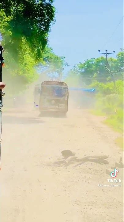 කට්ටිය දූවිලි නාගෙන 😜 නීල පබලු ආශාවරී දගකාරි දේදුනු සමනලී Youtube