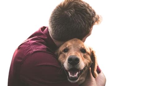 T L Charger 5 6 Hosted At ImgBB ImgBB