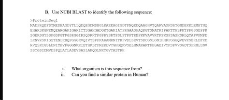 solved b use ncbi blast to identify the following sequence