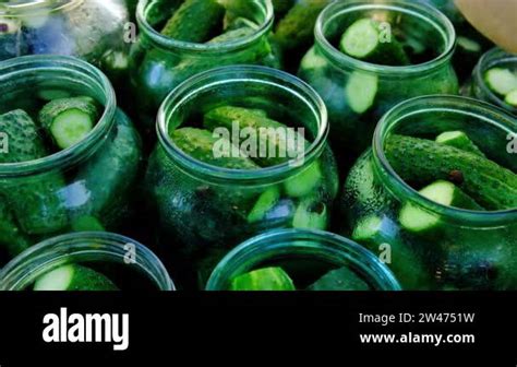 Cucumber Pickle Stock Videos Footage HD And 4K Video Clips Alamy
