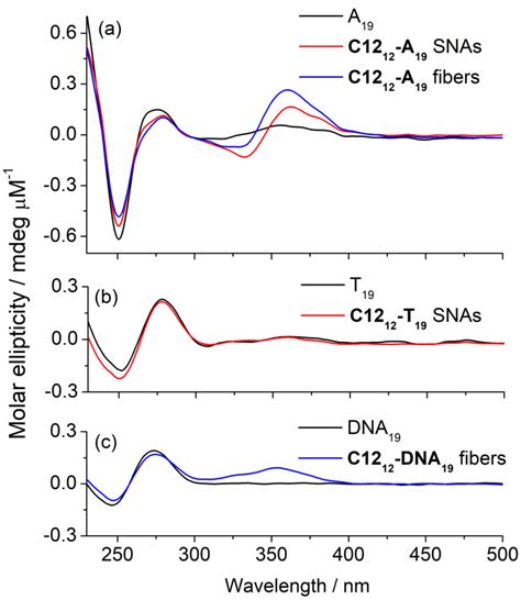 Cd Spectra Of Ssdna And Corresponding Assemblies With C1212 Appended