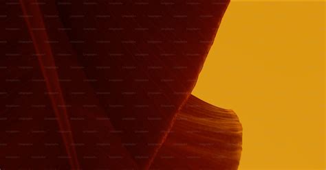 곡선이 있는 빨간색과 주황색 추상 배경 사진 Unsplash의 벽지 이미지