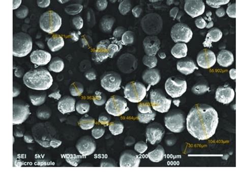 Scanning Electron Microscope Sem Image Shows The Morphology Of The