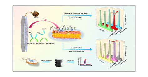 Cutting Edge Exploration Of A Molecularly Imprinted Polymer Coupled Electrochemiluminescence